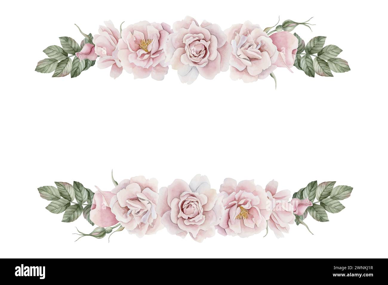 Horizontal frame of pink rose hip flowers with leaves, Victorian style ...