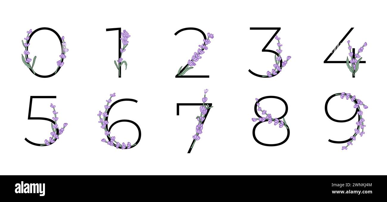 Lavender blossom violet little flower hand drawing number for wedding ...