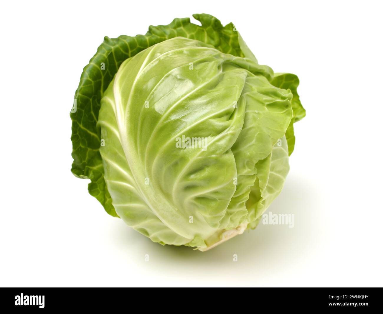 cabbage on white background Stock Photo - Alamy