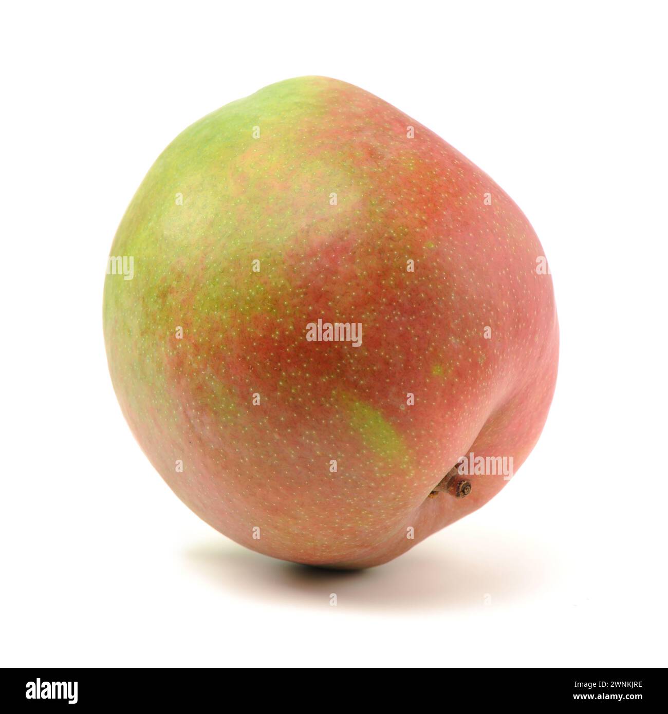 Mango stone Cut Out Stock Images & Pictures - Alamy