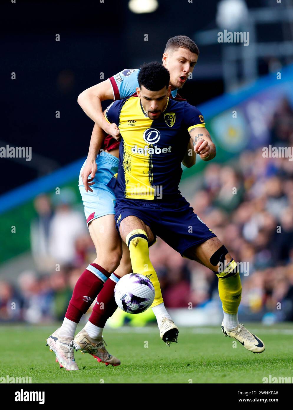 Bournemouth's Dominic Solanke (front) and Burnley's Maxime Esteve ...