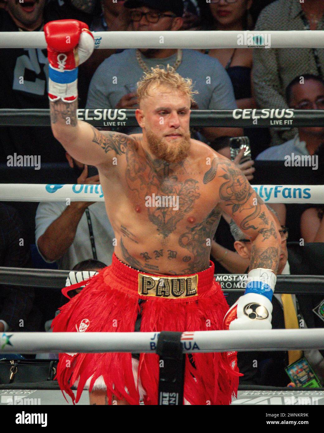 SAN JUAN, SAN JUAN - Jake “El Gallo de Dorado” Paul (Red and Gold ...