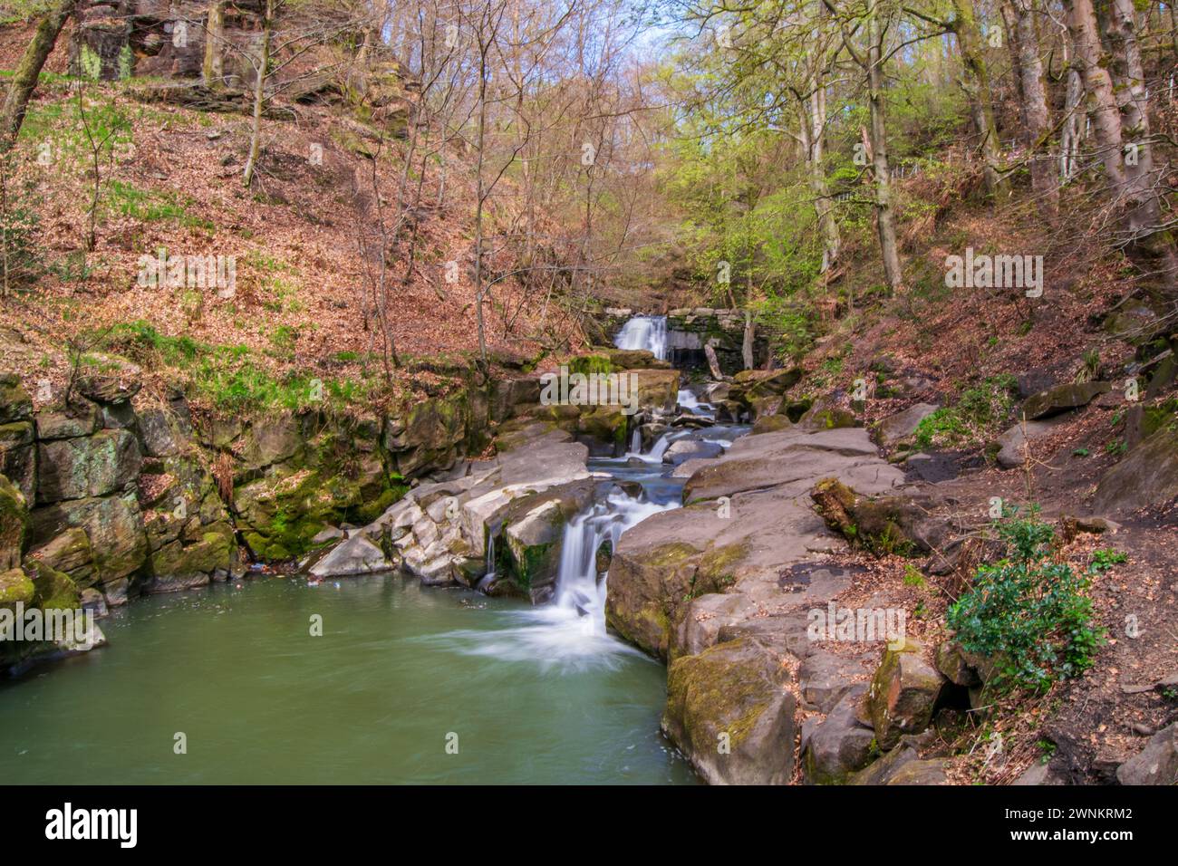 Healey Dell Nature Reserve in Winter Stock Photo - Alamy