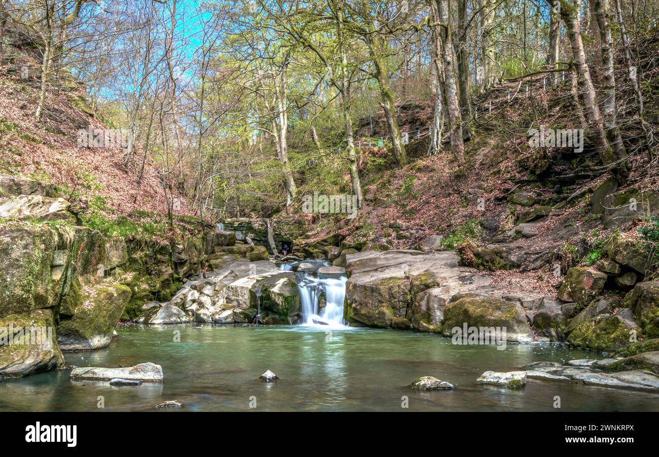 Healey Dell Nature Reserve in Winter Stock Photo - Alamy