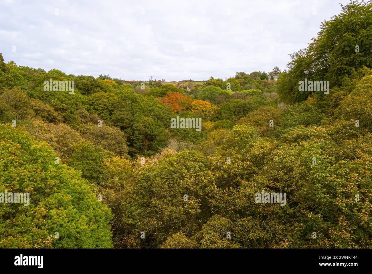Healey dell rochdale hi-res stock photography and images - Alamy
