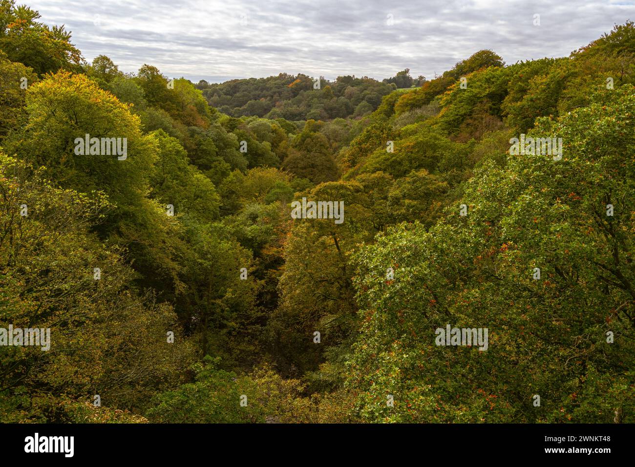 Healey dell rochdale hi-res stock photography and images - Alamy