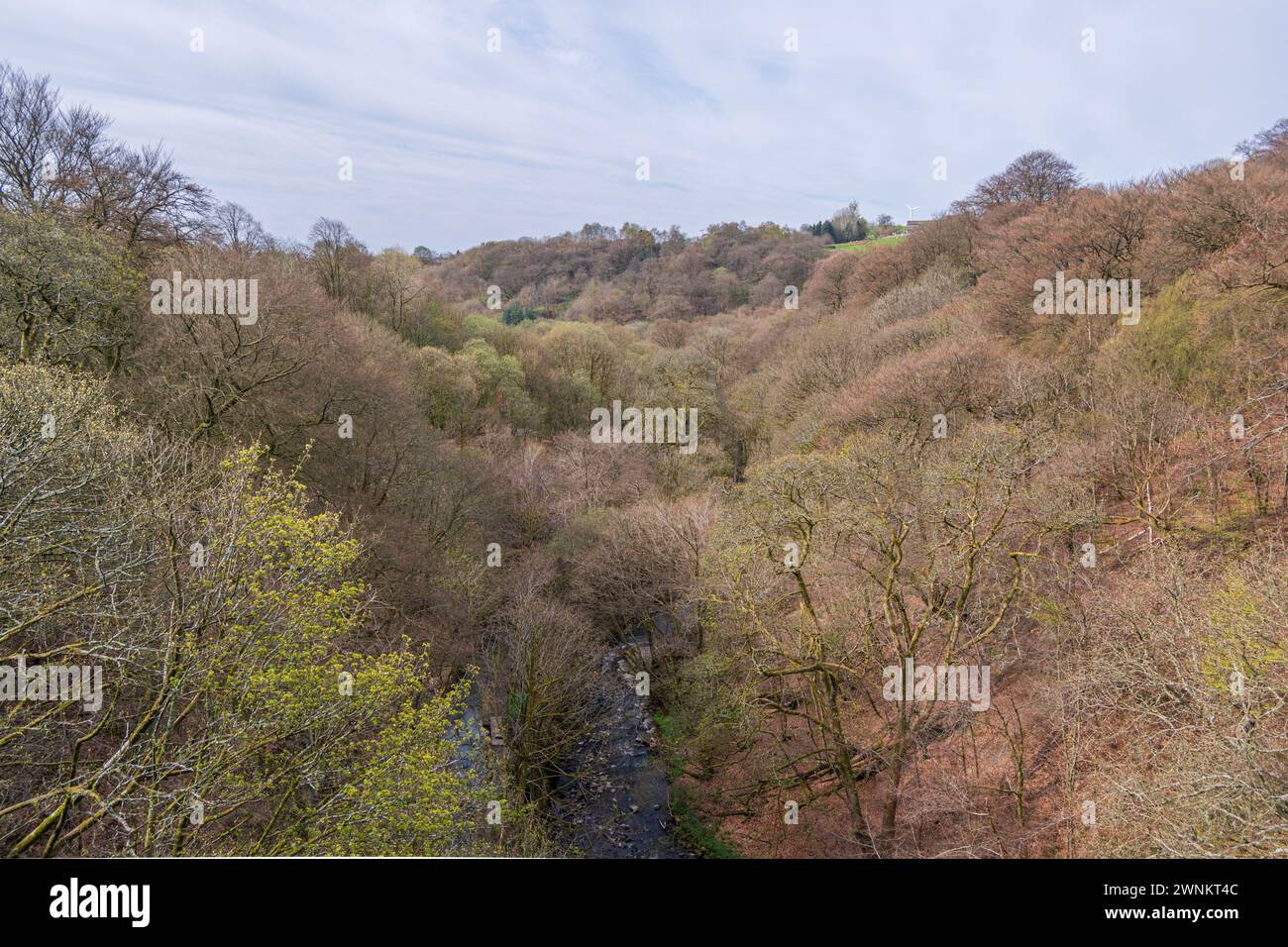 Healey Dell Nature Reserve in Winter Stock Photo - Alamy
