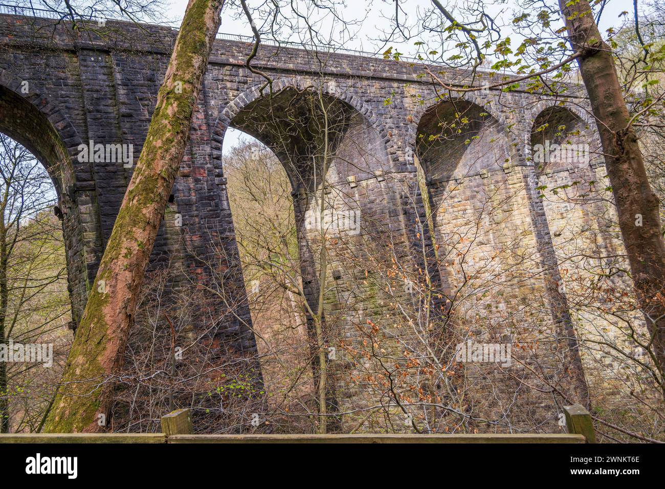 Healey dell rochdale hi-res stock photography and images - Alamy