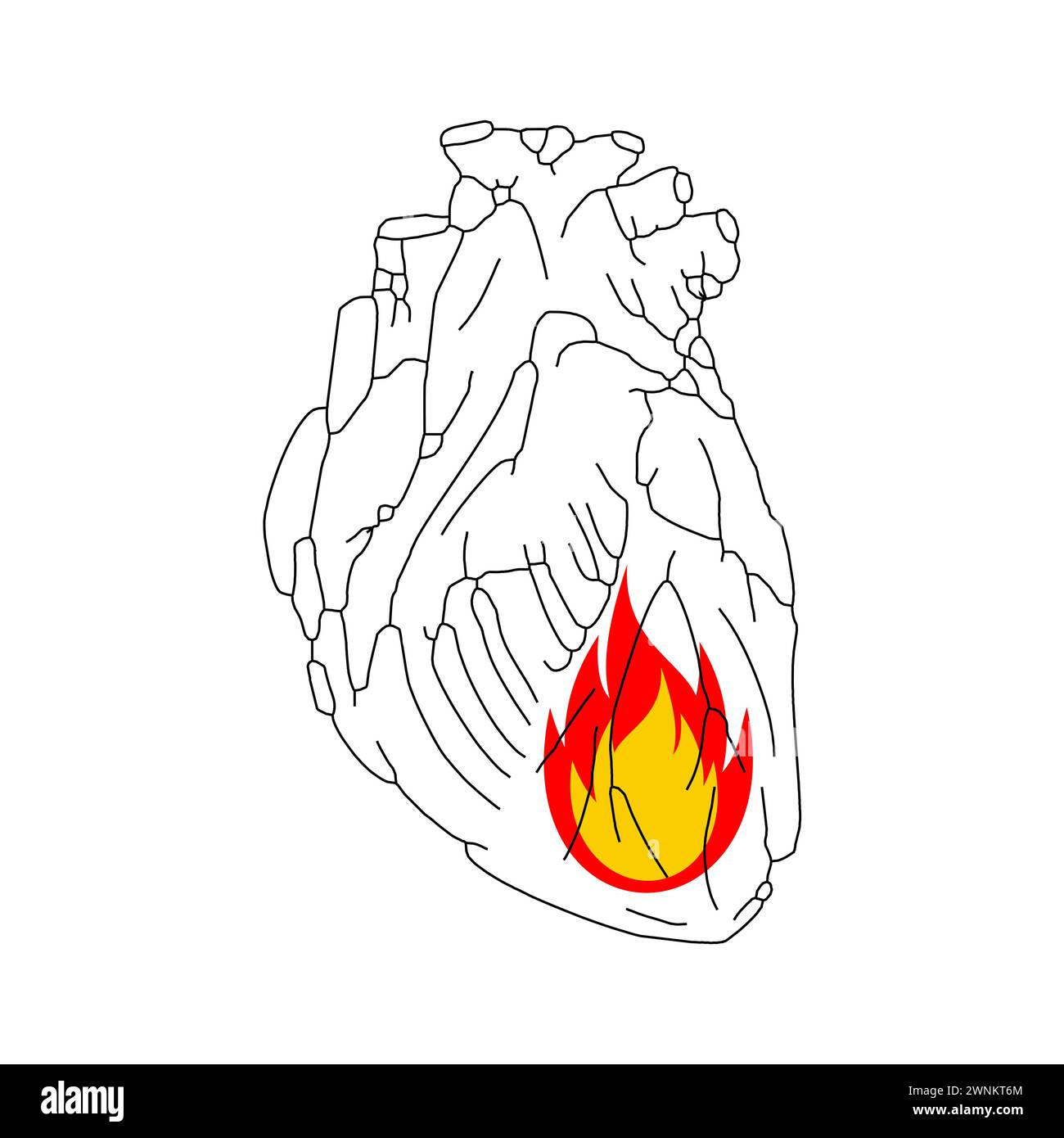 Fire in heart. Flame in an anatomical heart. Concept burning heart ...