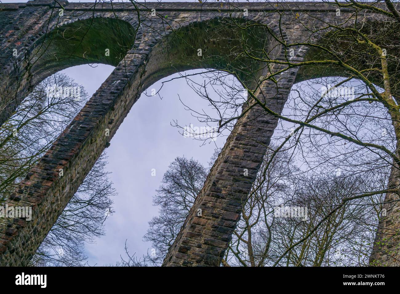 Healey Dell Nature Reserve in Winter Stock Photo - Alamy