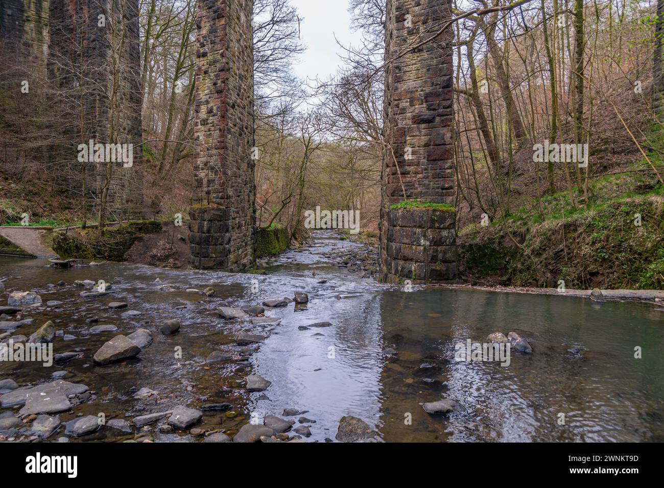 Healey Dell Nature Reserve in Winter Stock Photo - Alamy
