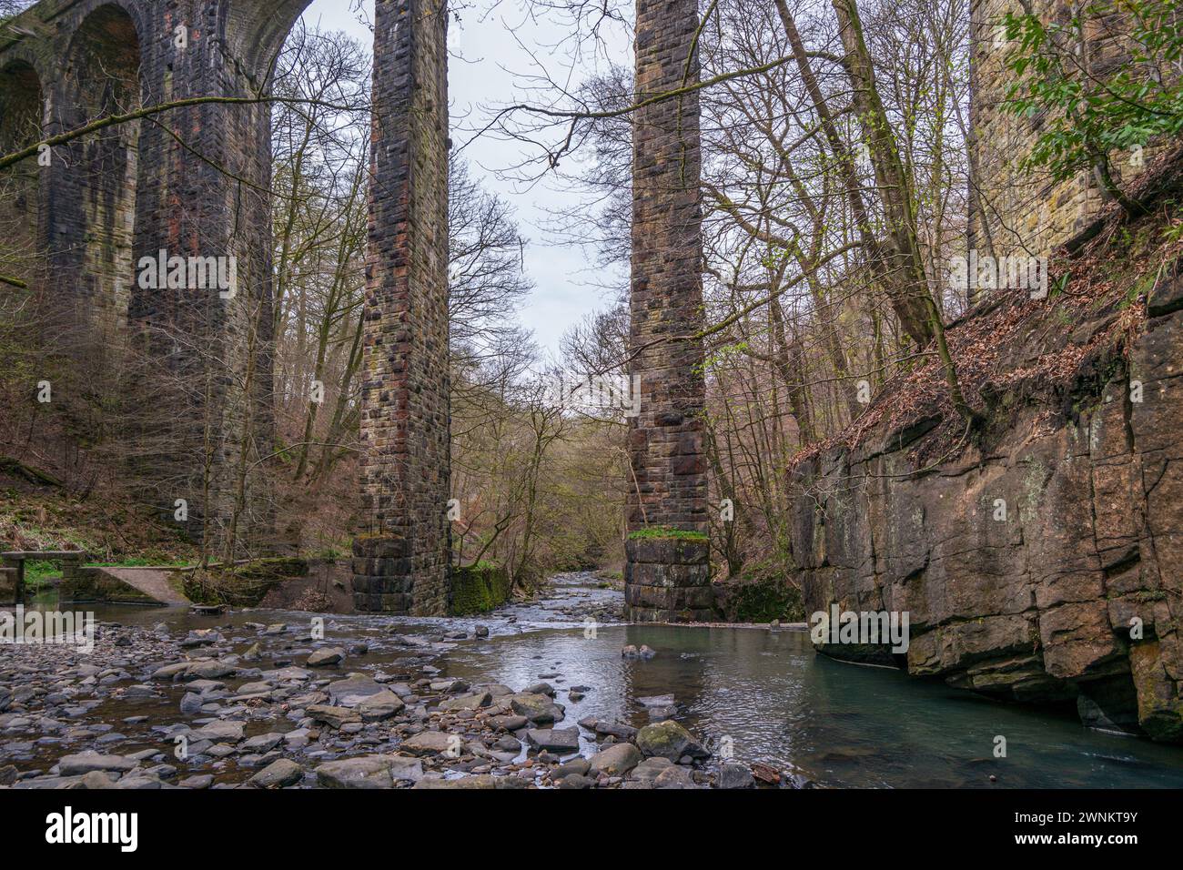 Healey Dell Nature Reserve in Winter Stock Photo - Alamy