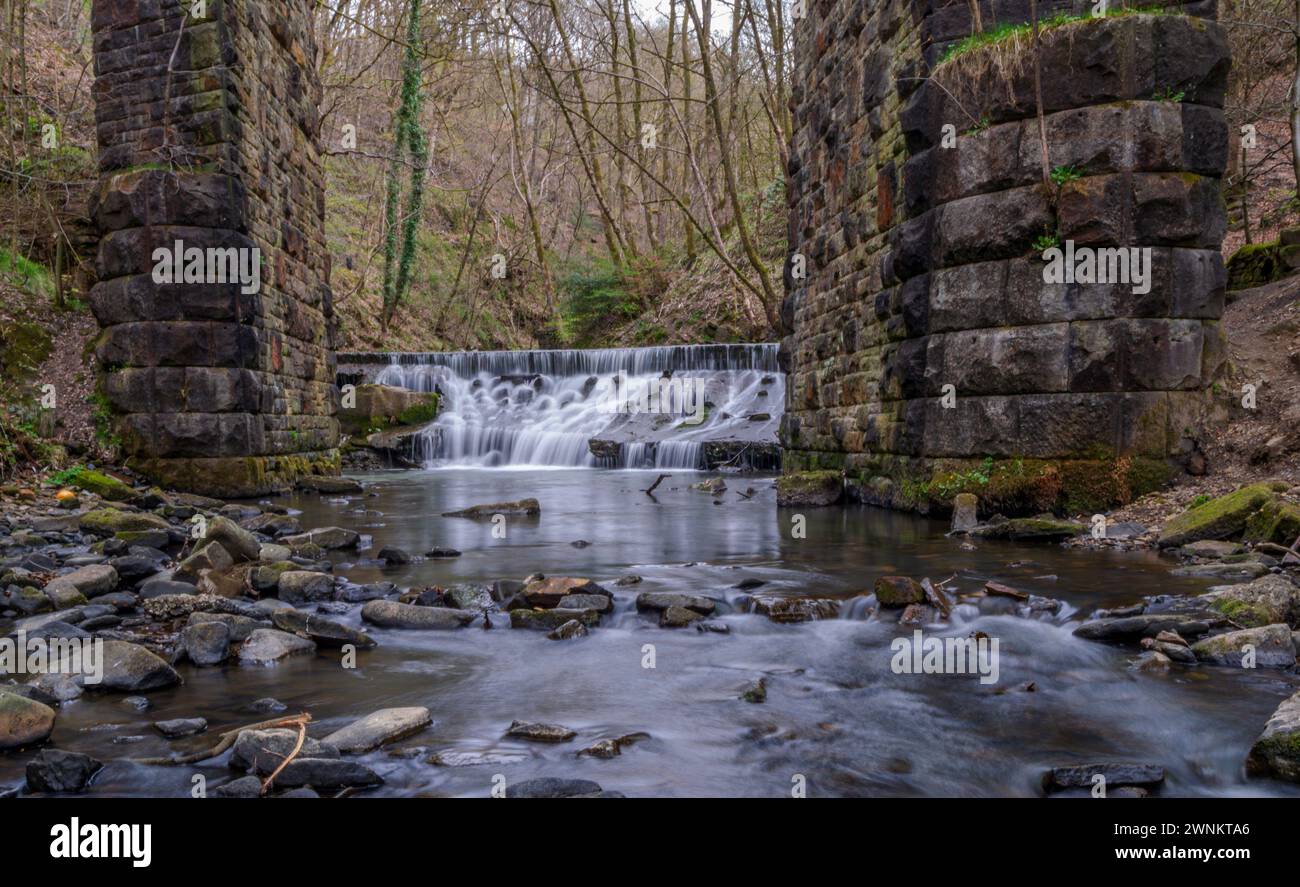Healey Dell Nature Reserve in Winter Stock Photo - Alamy