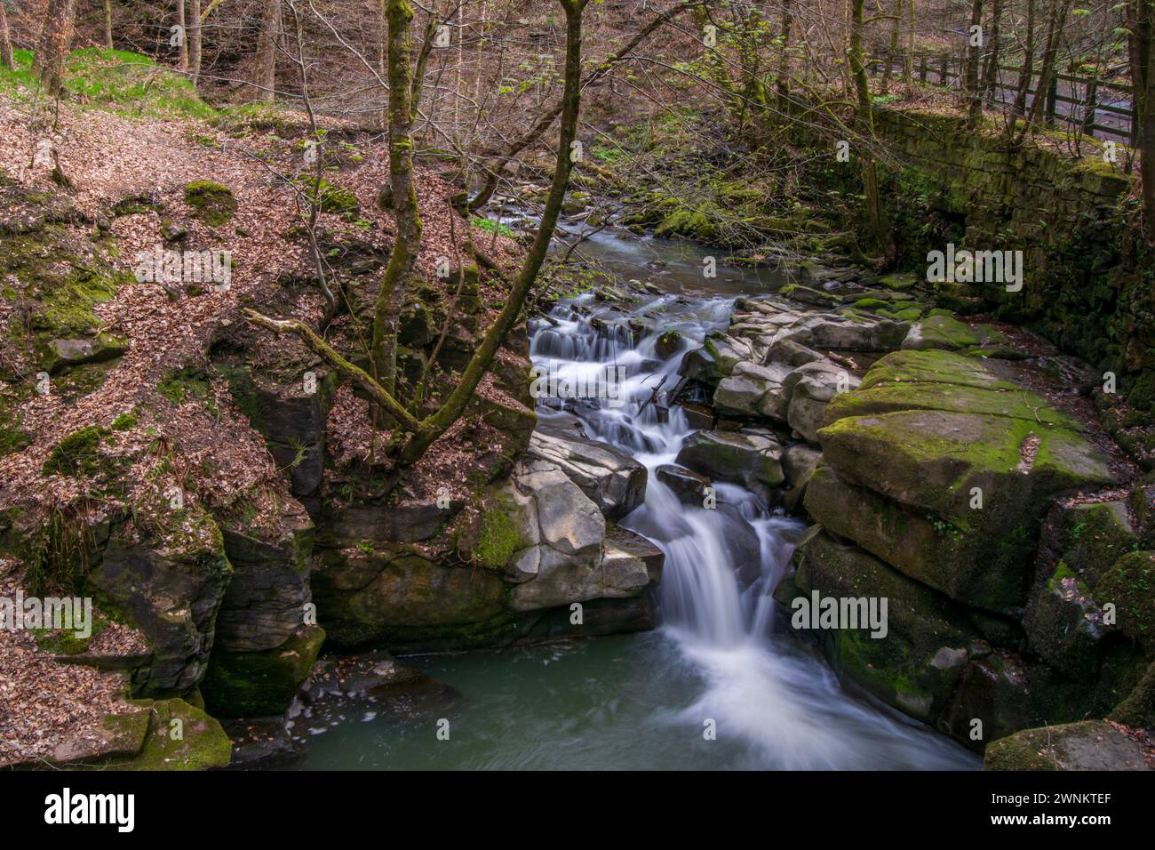 Healey Dell Nature Reserve in Winter Stock Photo - Alamy