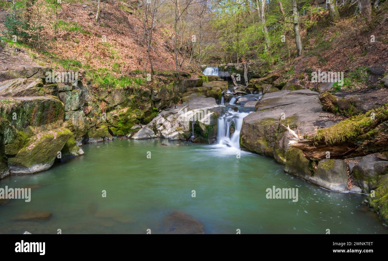 Healey Dell Nature Reserve in Winter Stock Photo - Alamy