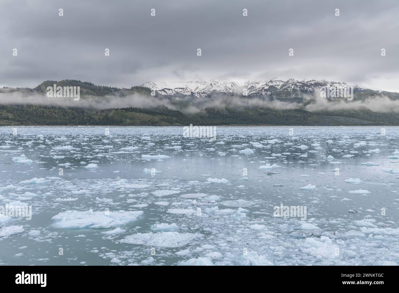 Ice and growlers floating in College Fjord with mist in the snow capped ...