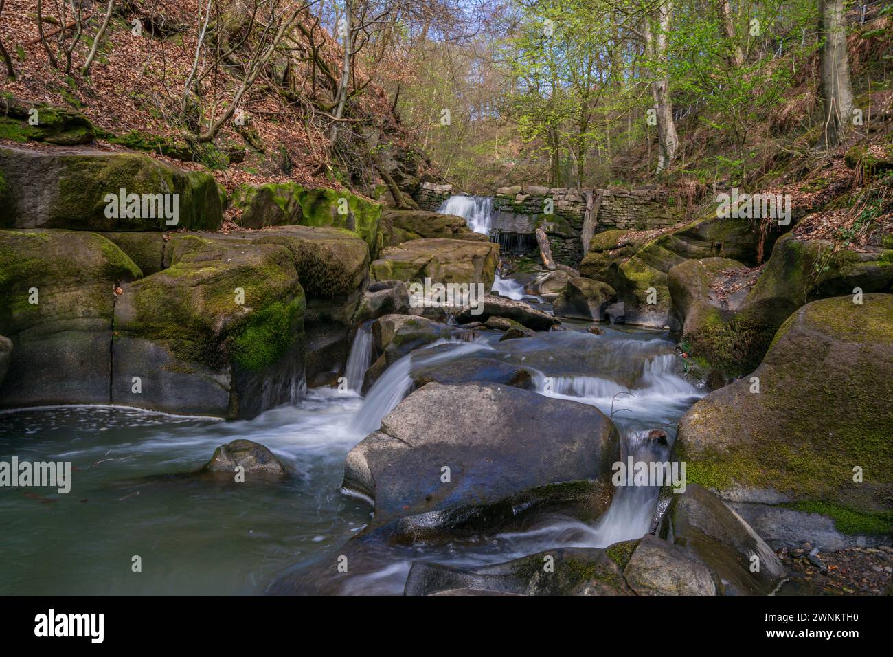 Healey Dell Nature Reserve in Winter Stock Photo - Alamy