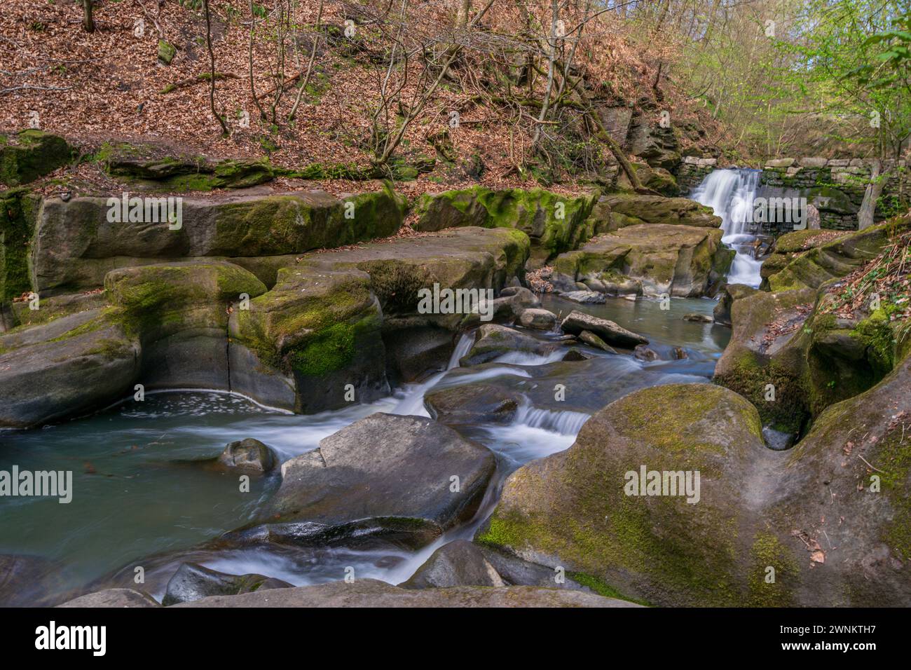 Healey Dell Nature Reserve in Winter Stock Photo - Alamy