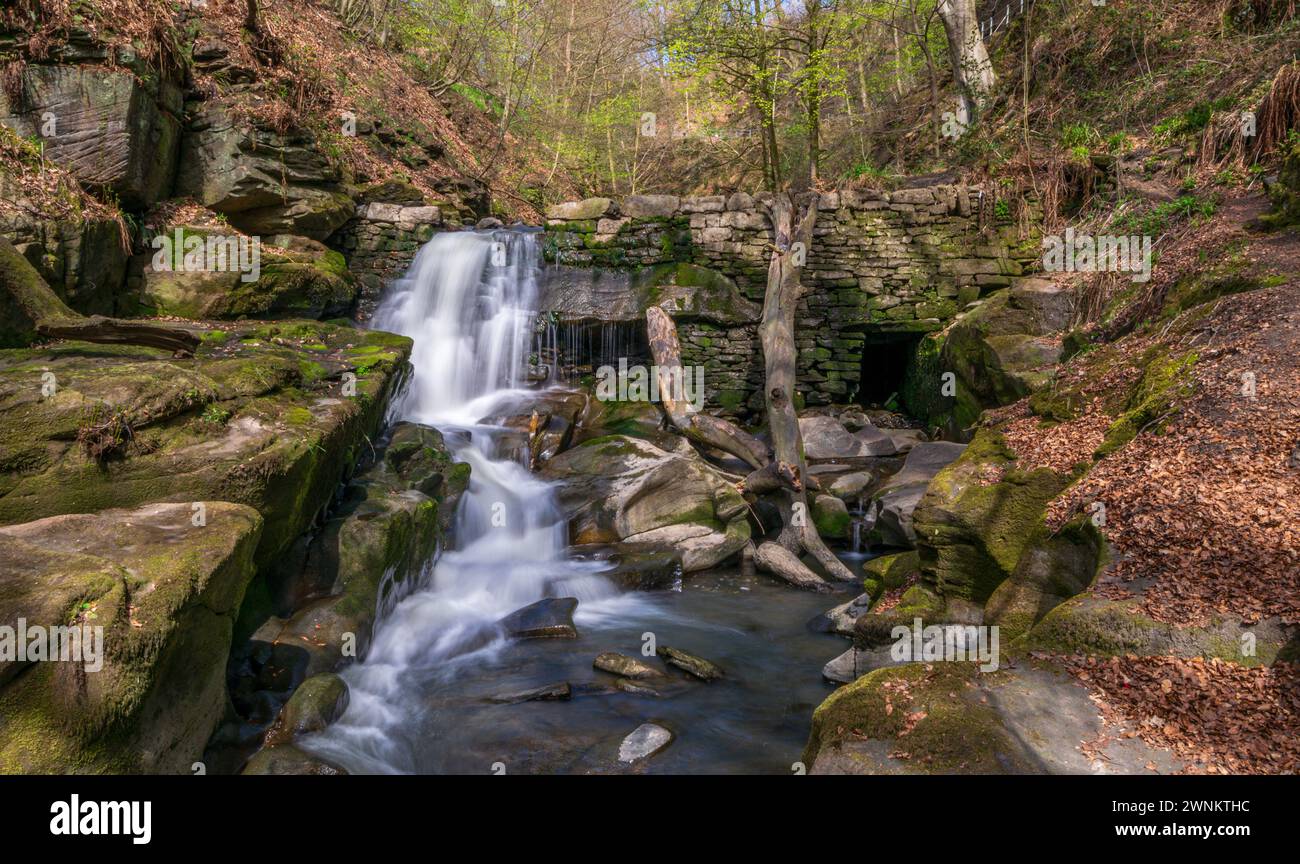 Healey Dell Nature Reserve in Winter Stock Photo - Alamy