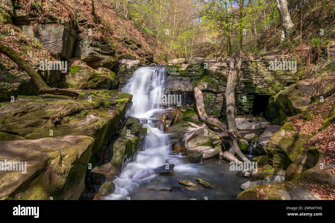 Healey Dell Nature Reserve in Winter Stock Photo - Alamy