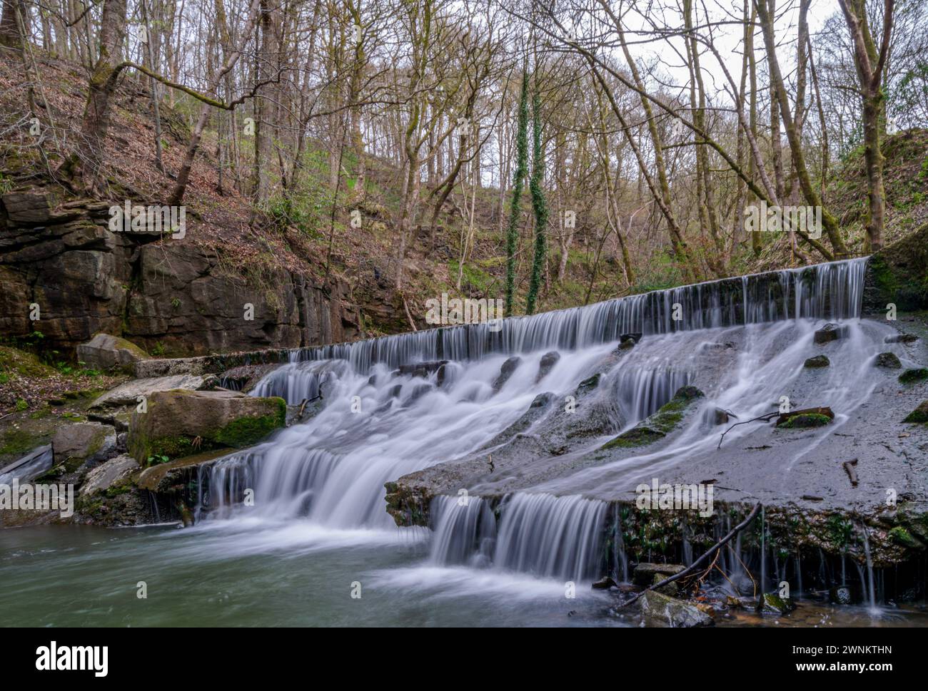 Healey Dell Nature Reserve in Winter Stock Photo - Alamy