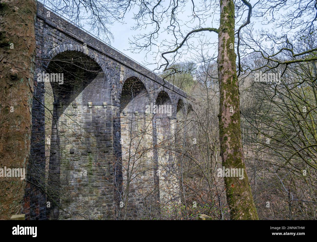 Healey Dell Nature Reserve in Winter Stock Photo - Alamy