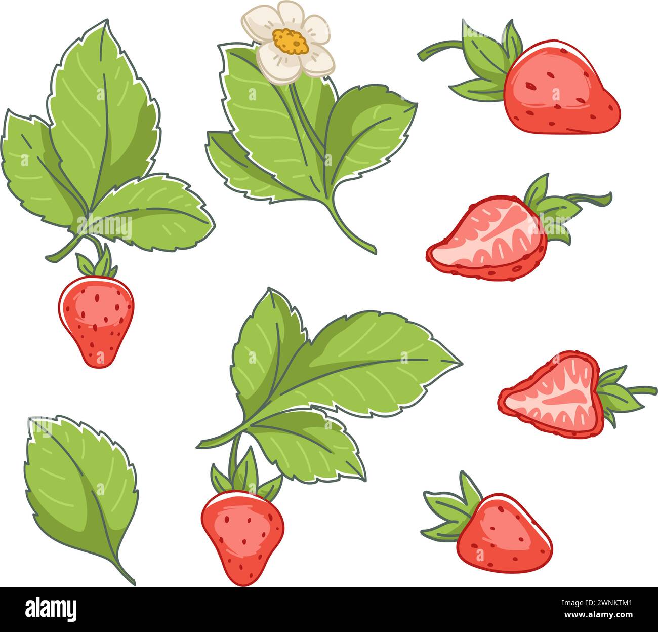 Wild strawberries summer harvest Stock Vector Images - Alamy