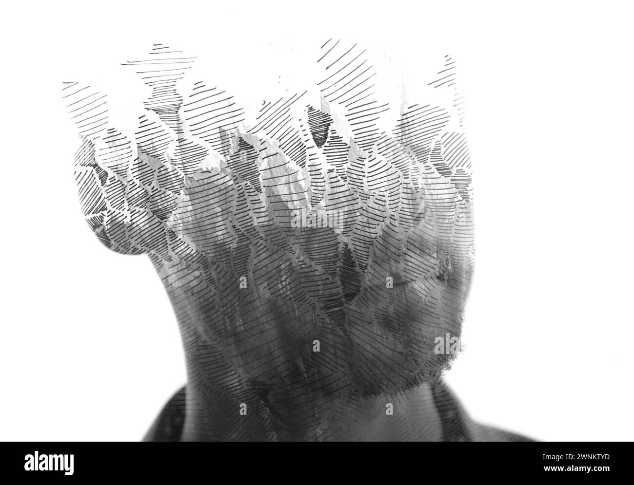 A disappearing paintography double exposure male portrait Stock Photo ...