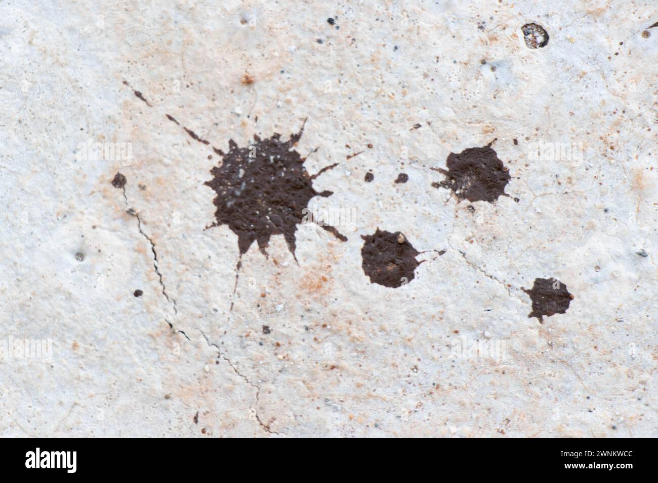 Splash of painting on concrete texture background Stock Photo - Alamy