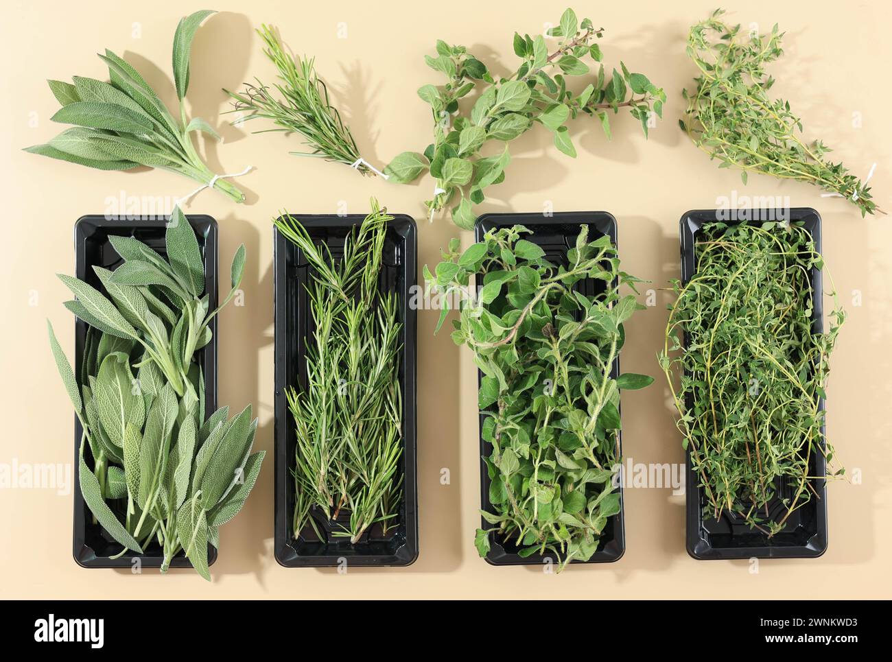 Top Various Herbs on Plastic Packaging, Sale on Supermarket. Sage ...