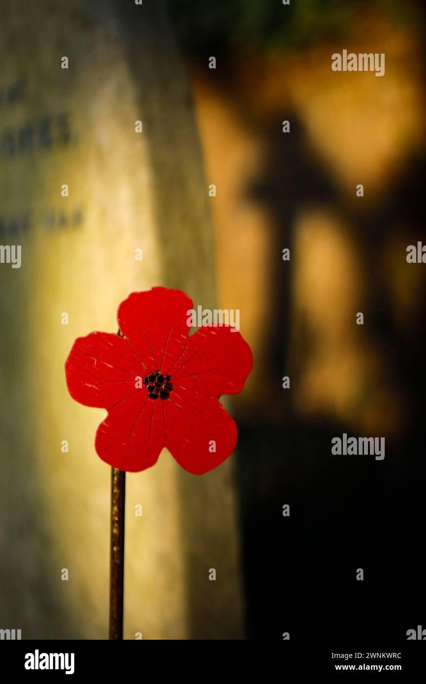 Red poppy sign indicating the location of a war-related grave in the ...