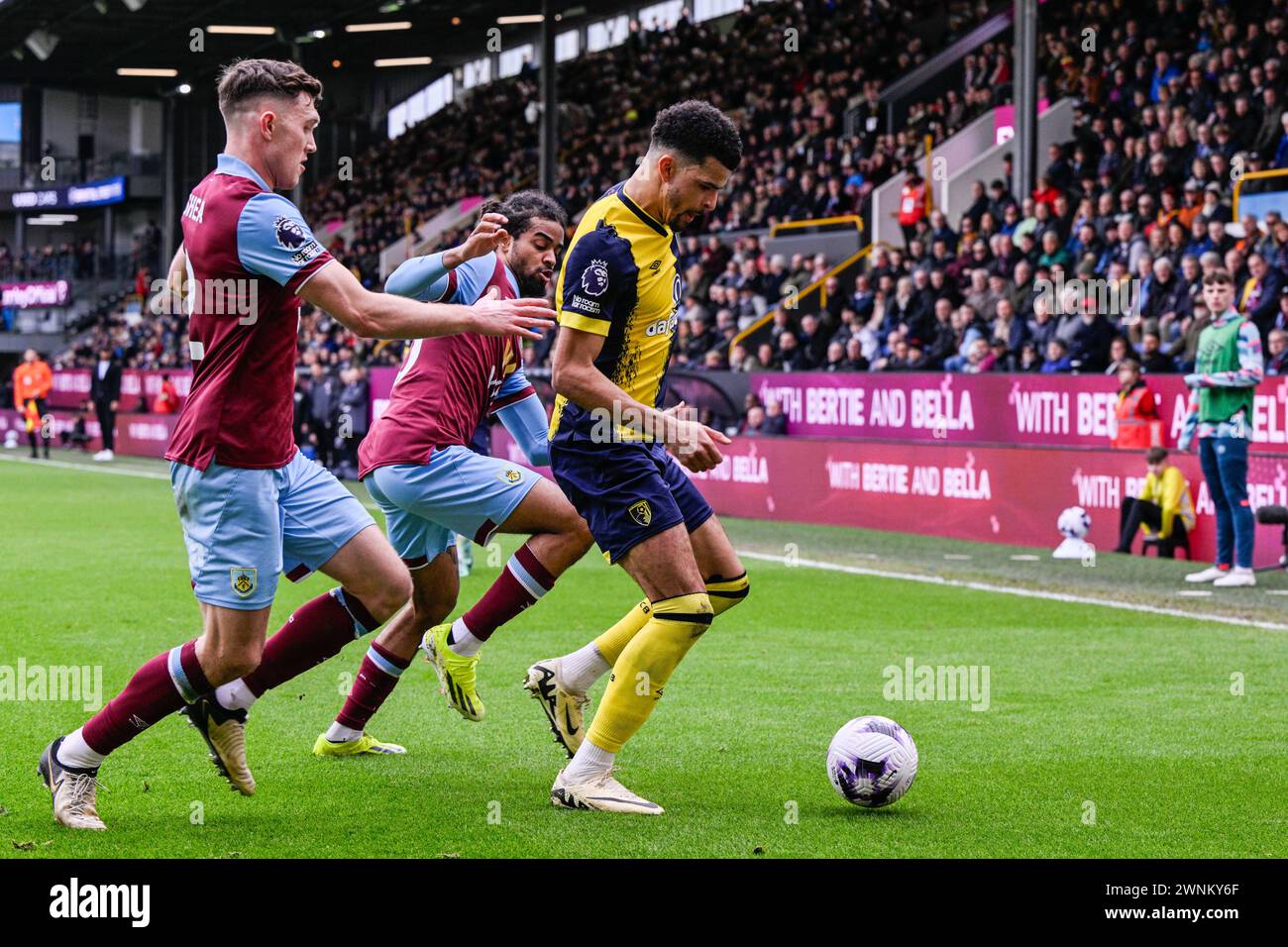 Dominic Solanke of Bournemouth holds off Dara O'Shea of Burnley and ...