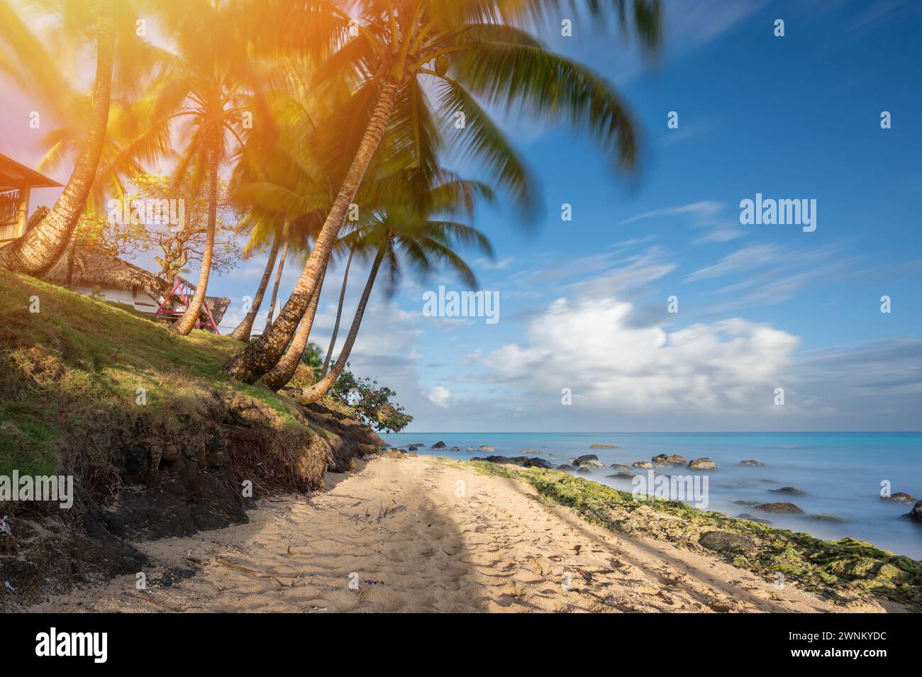 Caribbean sea beach on sunrise time. Vacation in tropics theme Stock ...