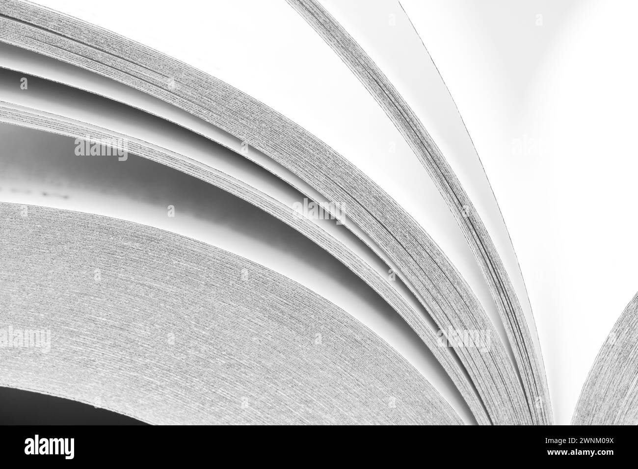 Fanned pages of book in black and white Stock Photo - Alamy