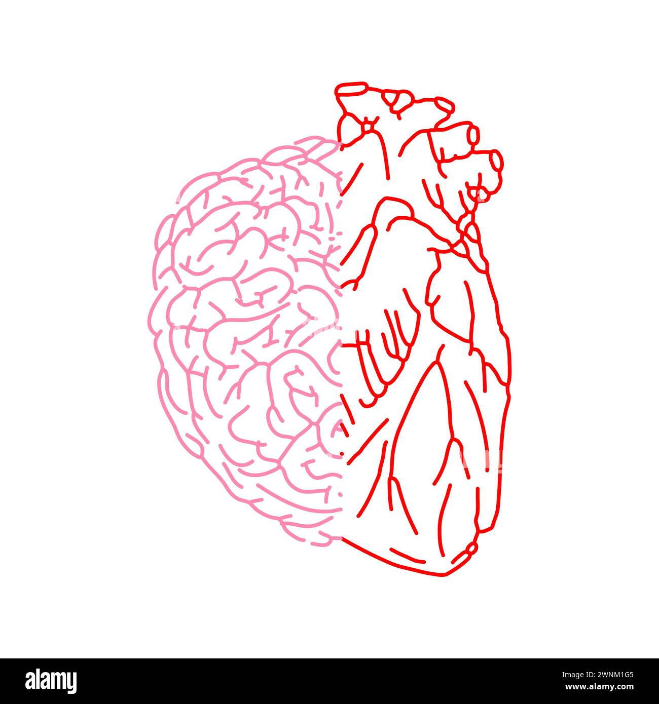 Half brain and half heart. Combine feelings and reason Stock Vector ...