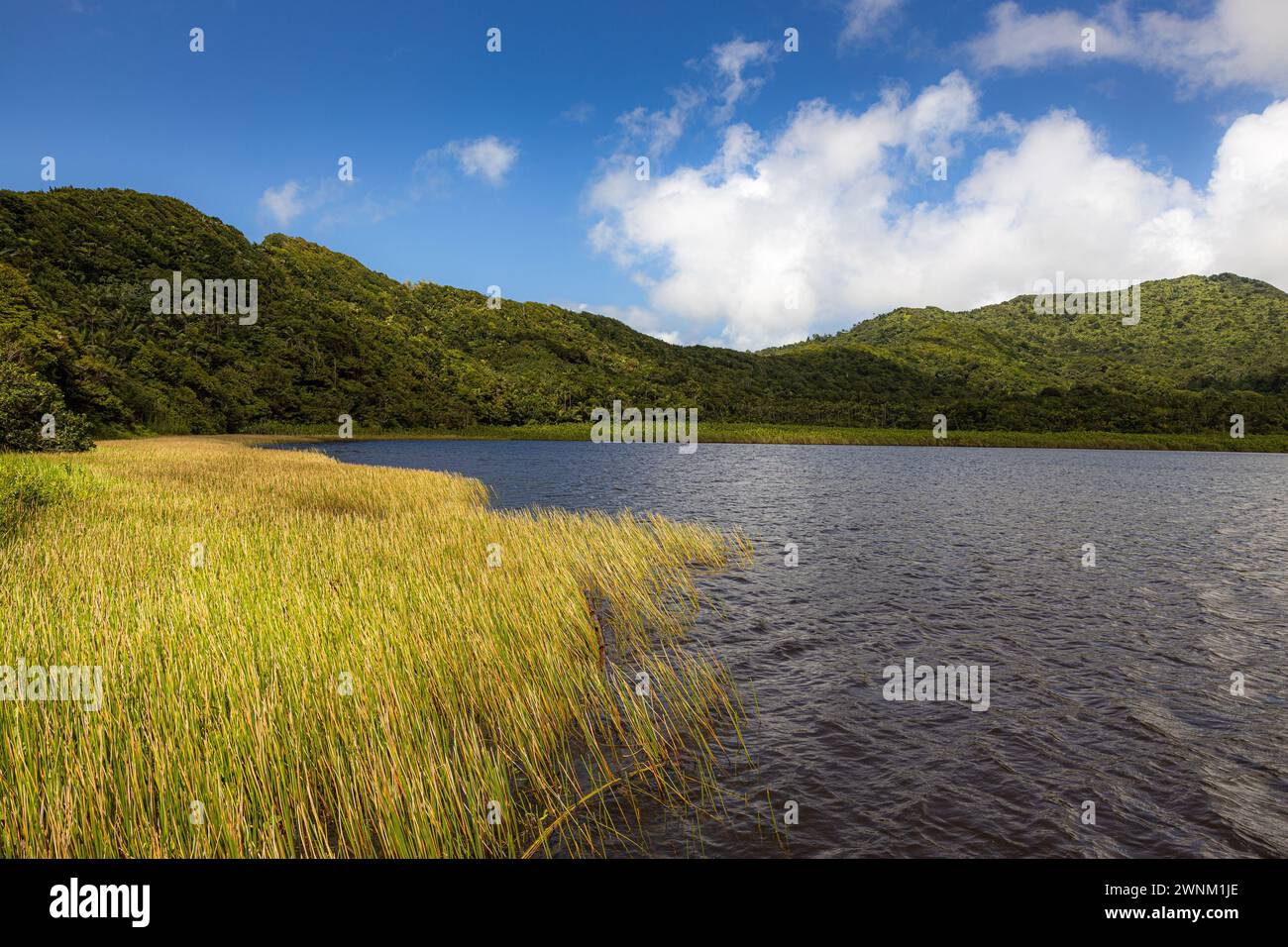 Grand etang lake hi-res stock photography and images - Alamy