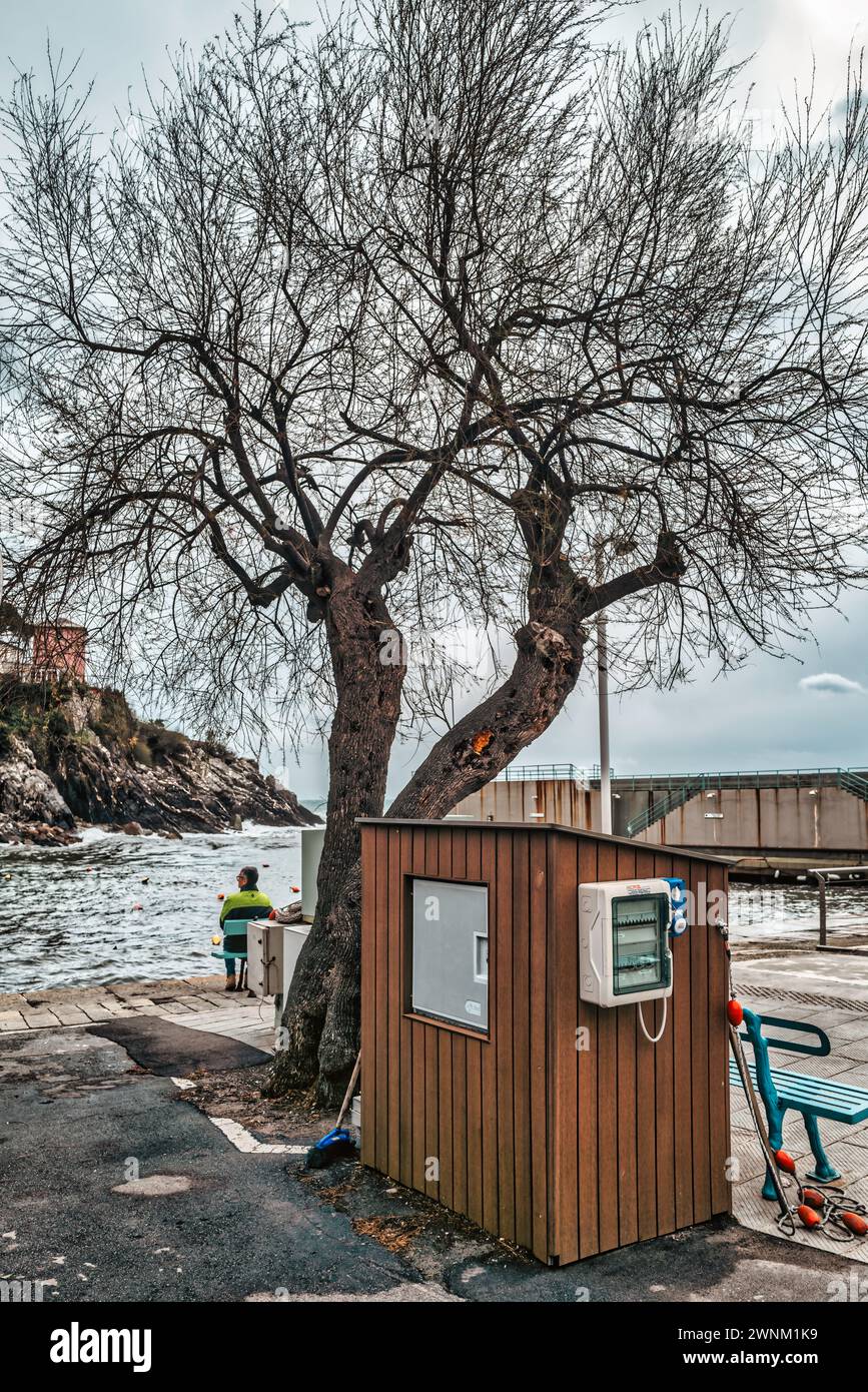 Genoa: Where history echoes through winding streets and vibrant markets ...