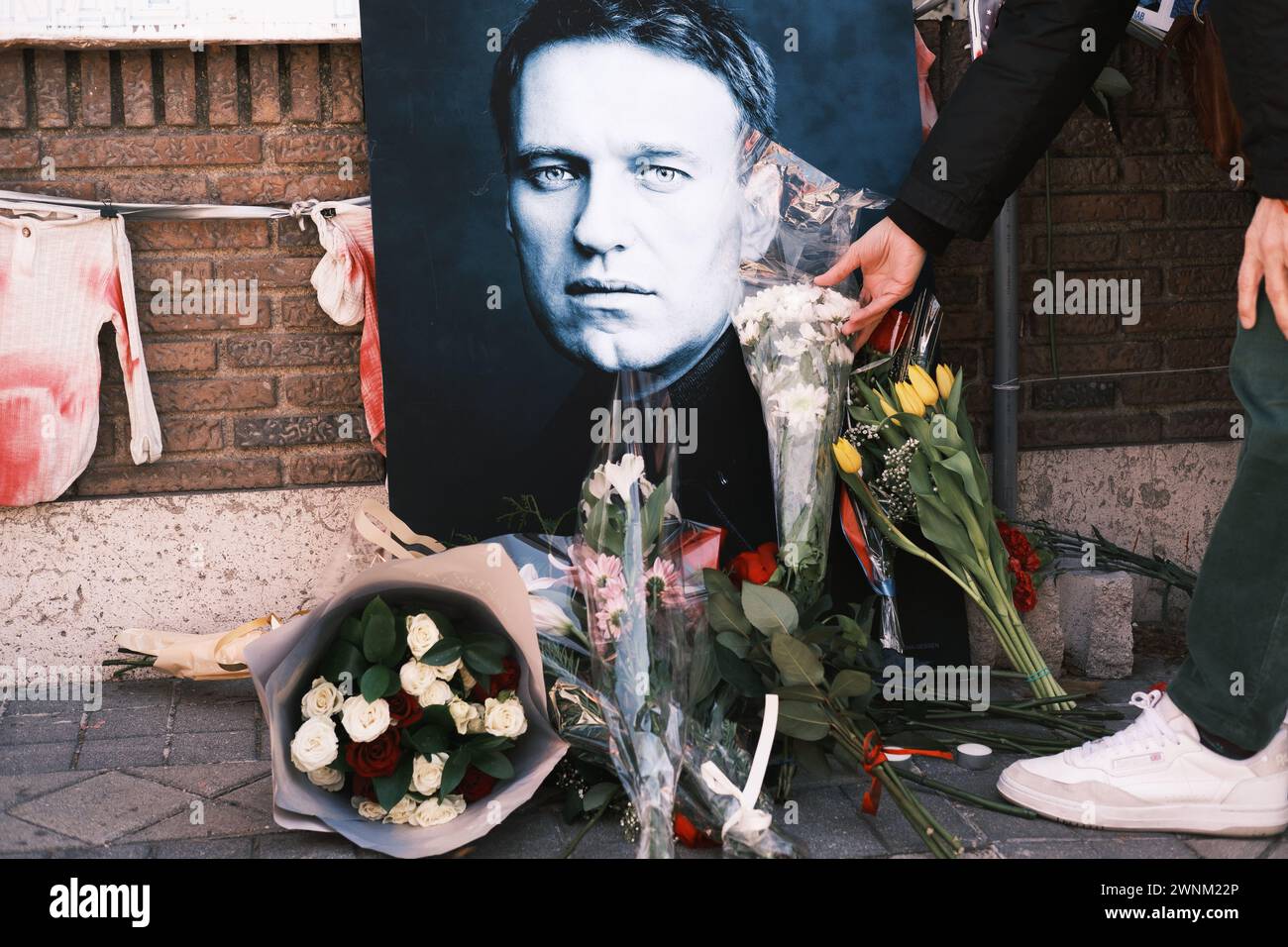 Alexei navalni hi-res stock photography and images - Alamy