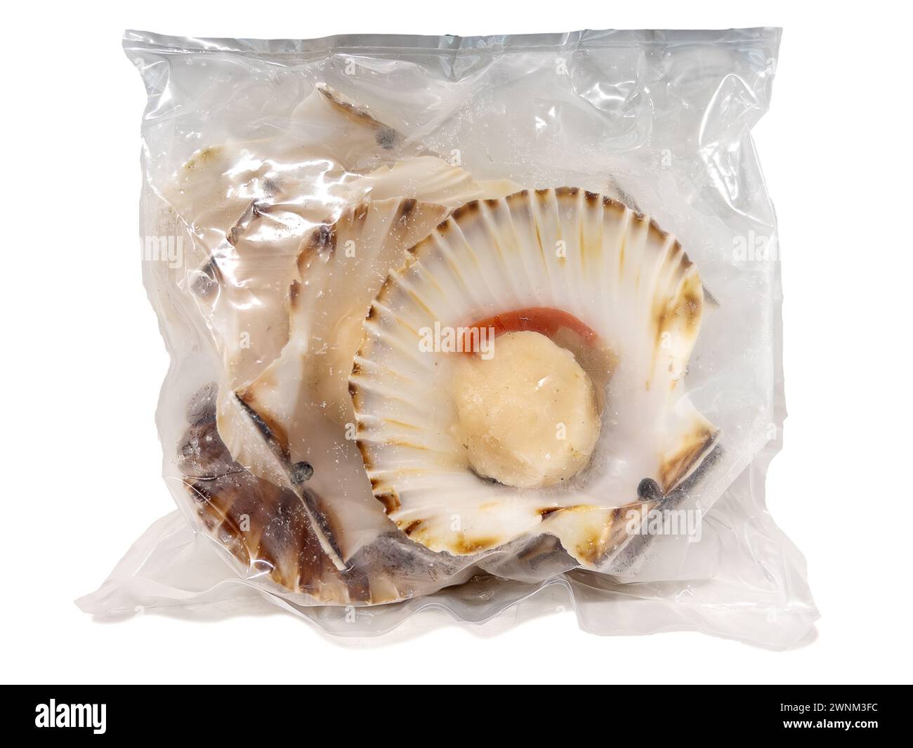 Vacuum sealed frozen scallops in plastic bag isolated on white with ...