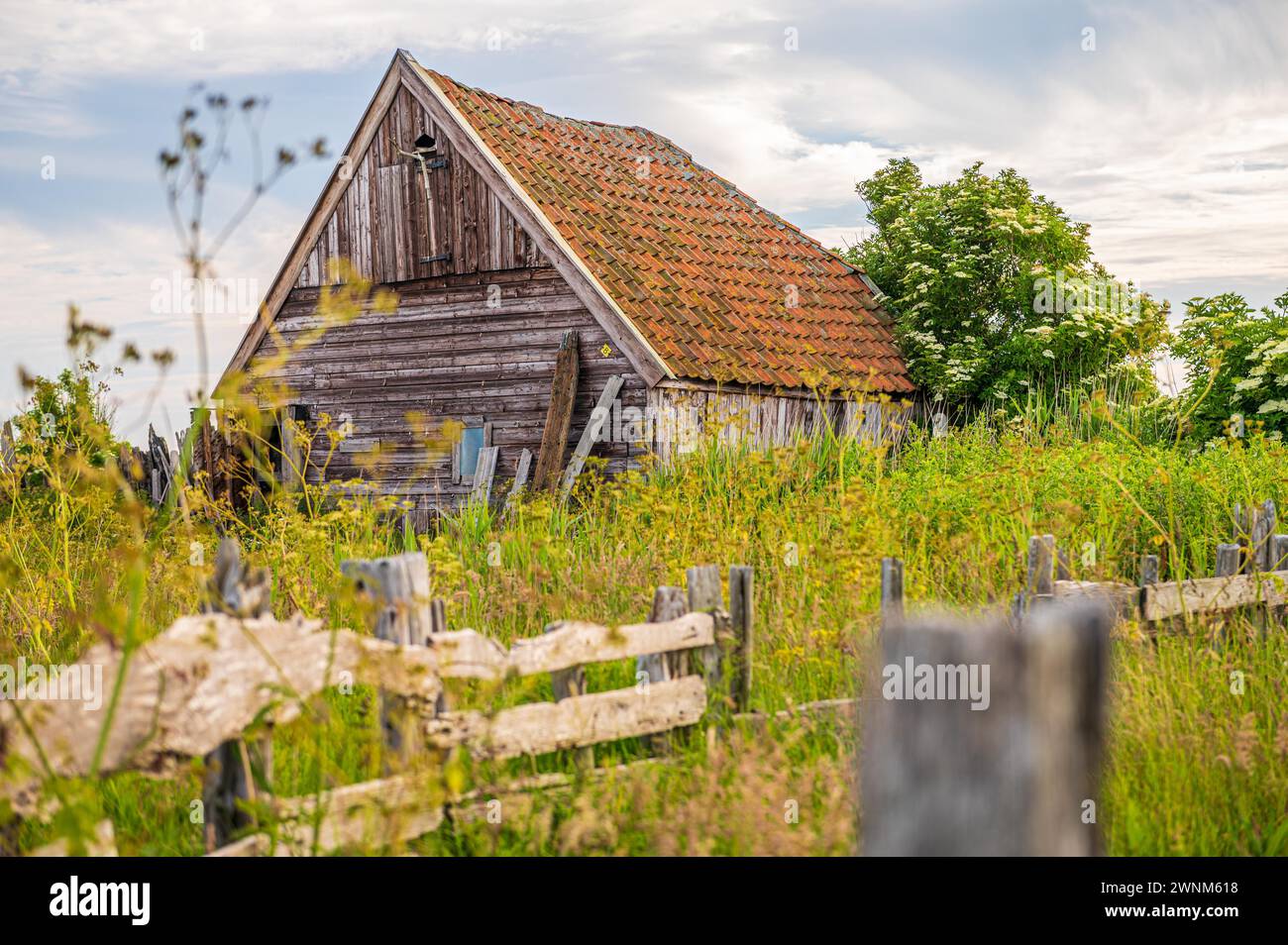 Detailed view of a dilapidated barn surrounded by blooming meadow flowers and clouds in the sky ...