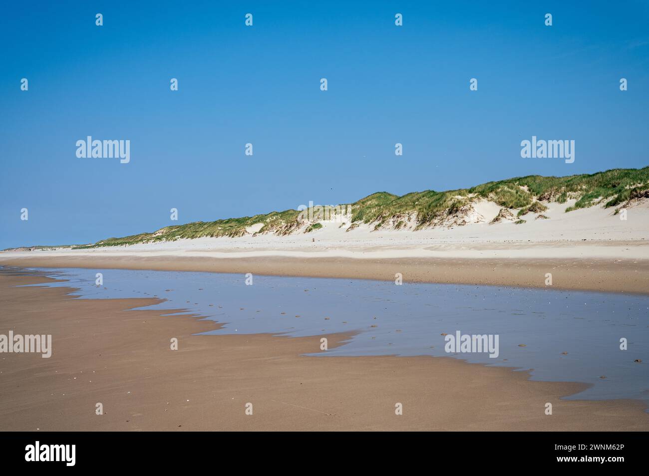 Tranquil beach scene with sand dunes under a clear blue sky, Texel ...