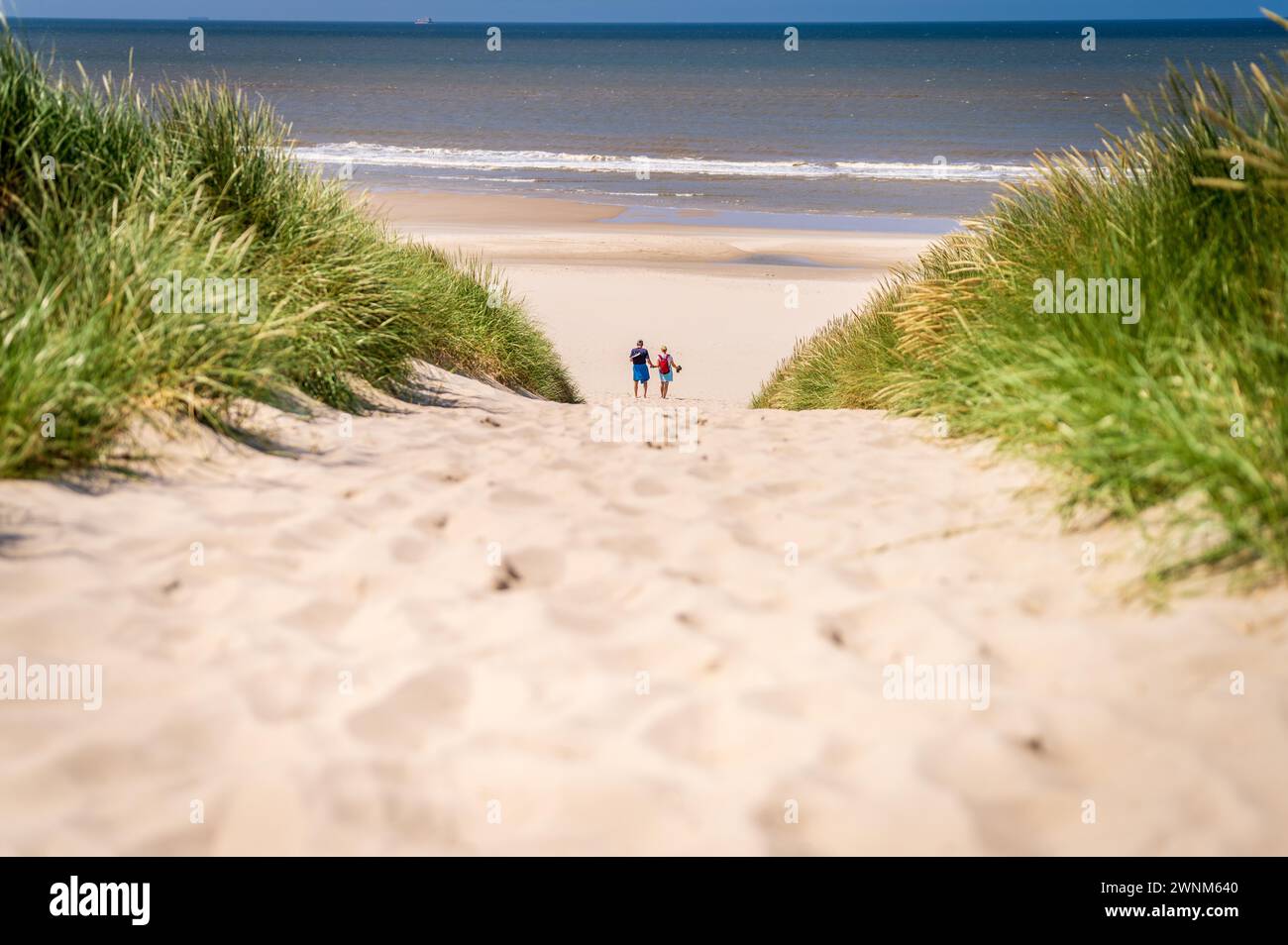 Path through the sand dunes with walkers, framed by high dune grass ...