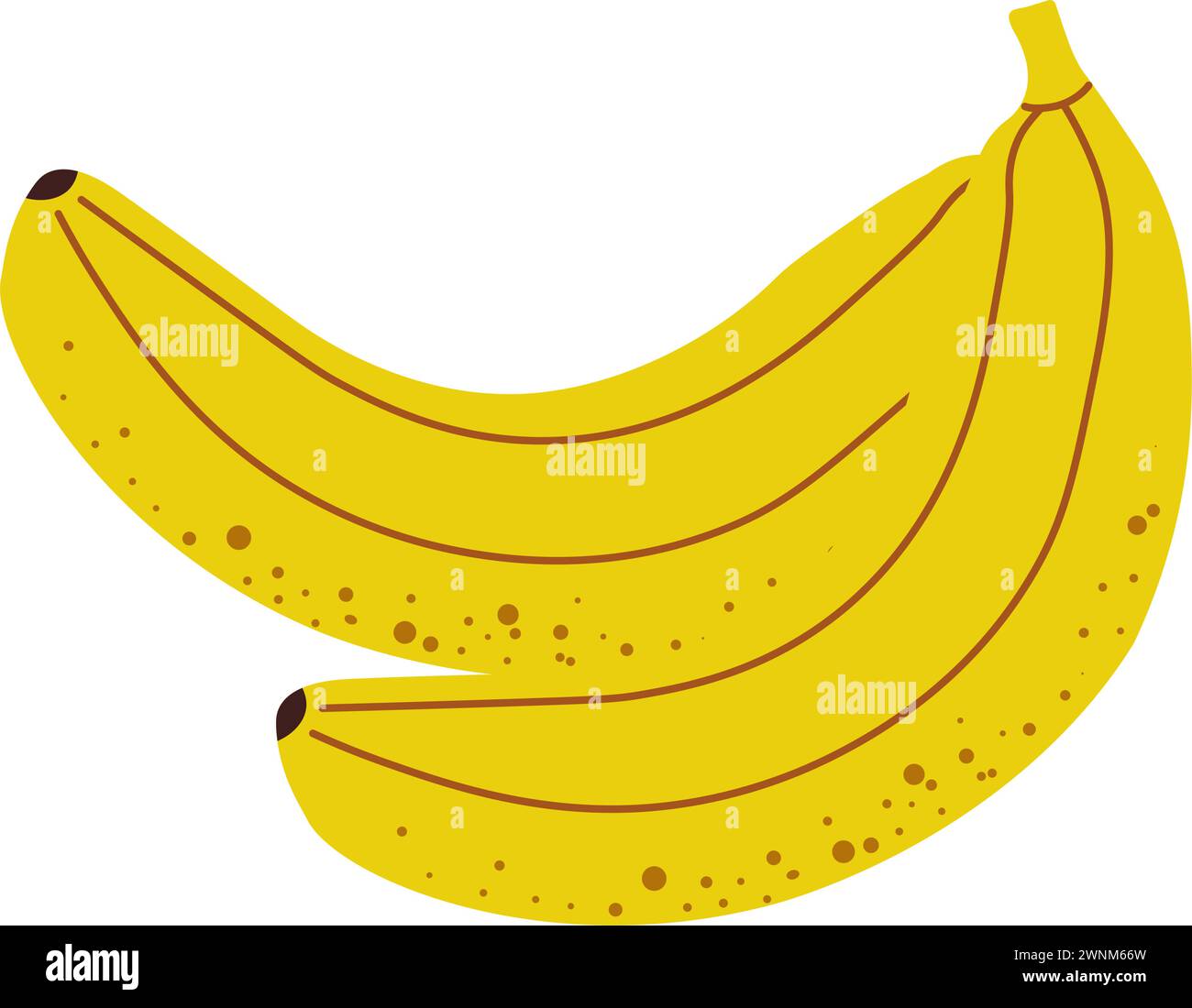 Exotic tropical bananas, delicious vegetable snack Stock Vector Image ...