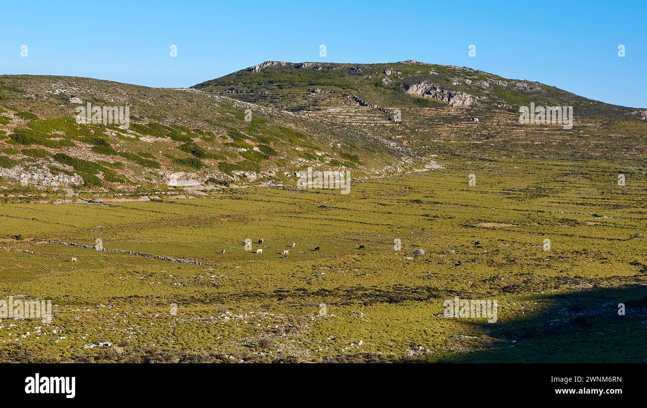 Green hills under a blue sky with no visible human intervention, Mani ...