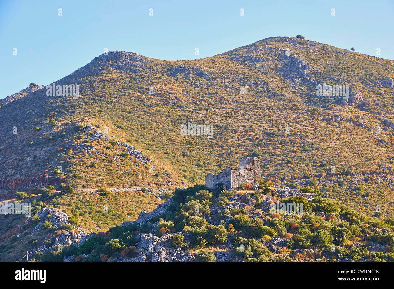 Historic ruin on Green Mountain with dense vegetation in the background ...