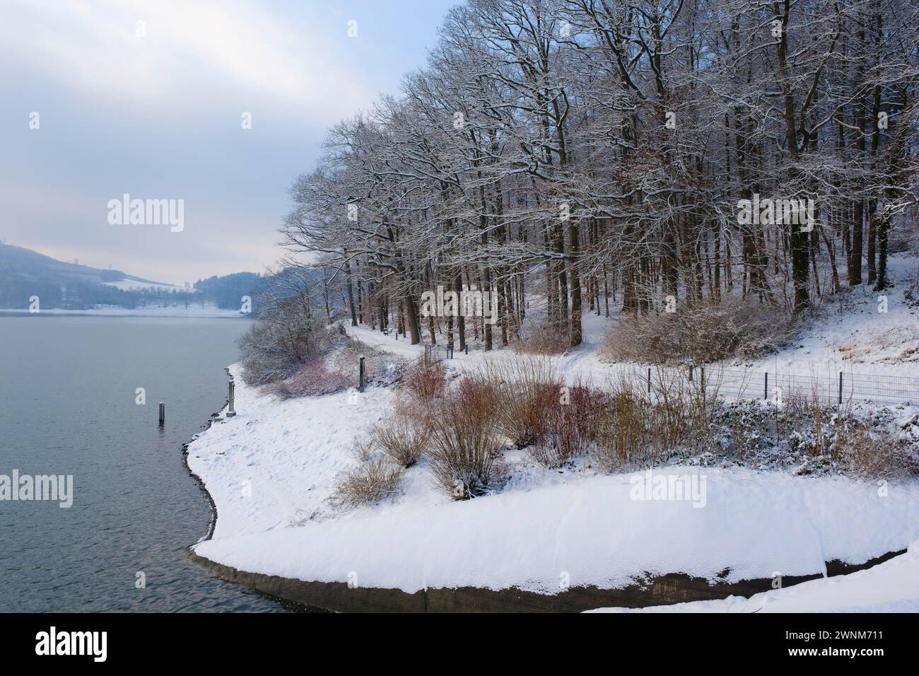 Winter landscape at the Hennesee, Hennetalsperre, Naturpark Sauerland ...