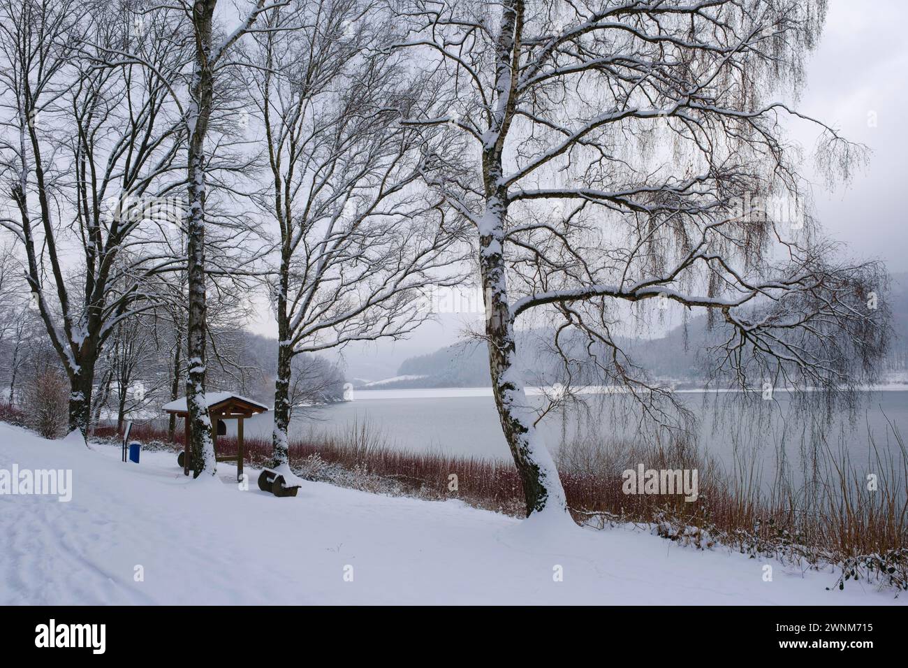 Landscape with snow at the Hennesee, Hennetalsperre, Naturpark ...