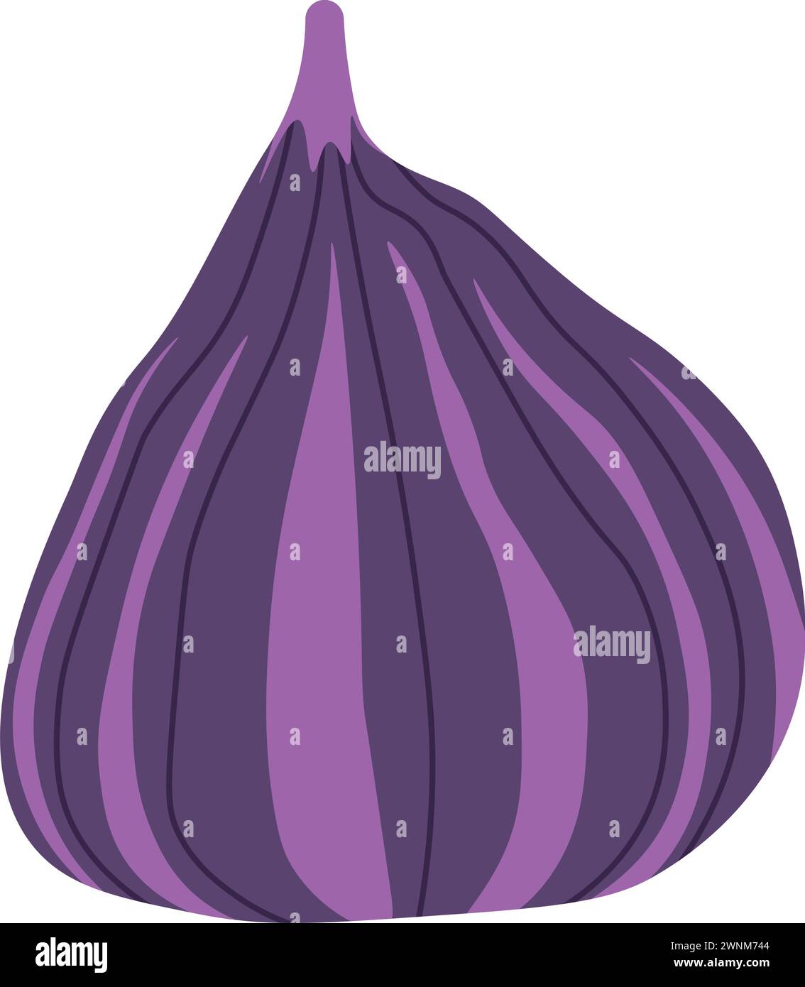 Fig dry Stock Vector Images - Alamy