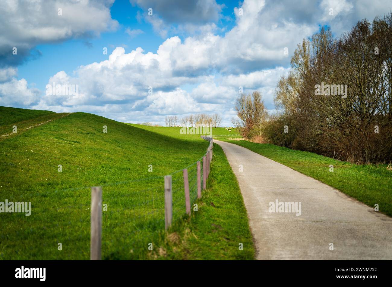 A path leads through a spring-like landscape with green meadows and a ...