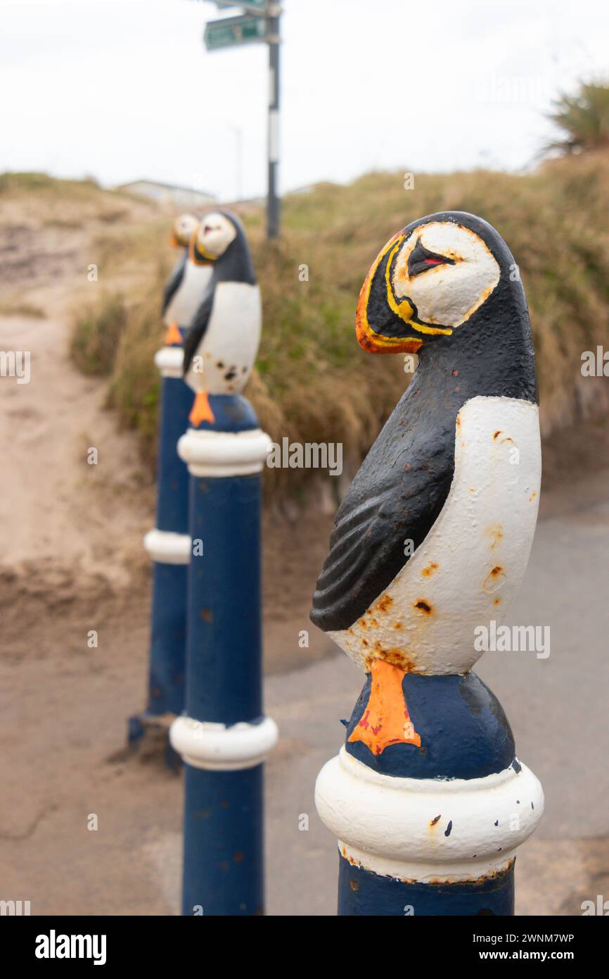 cast metal bollard in shape of painted puffins at Newbiggin by sea ...